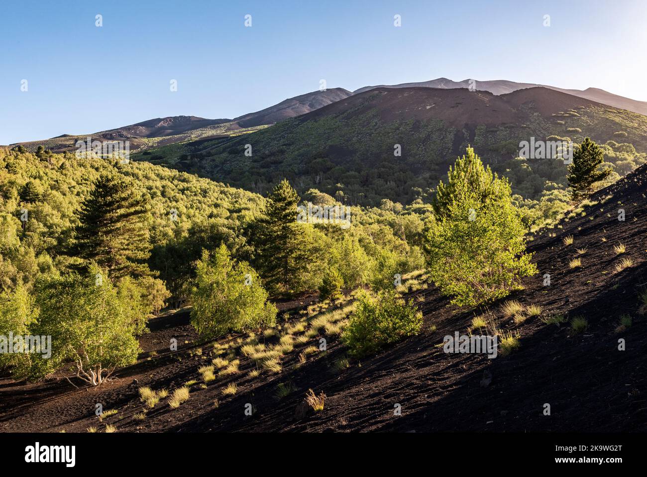 A summertime view of Mount Etna, Sicily, seen from near the Sartorius ...