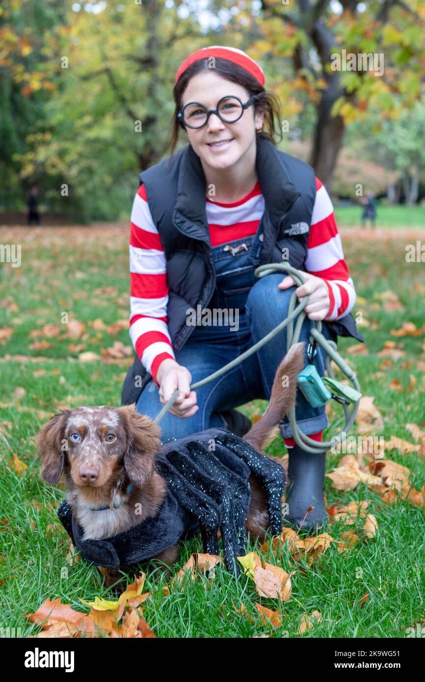 A dog walker with her dog dressed as a spider at the annual Hyde Park ...