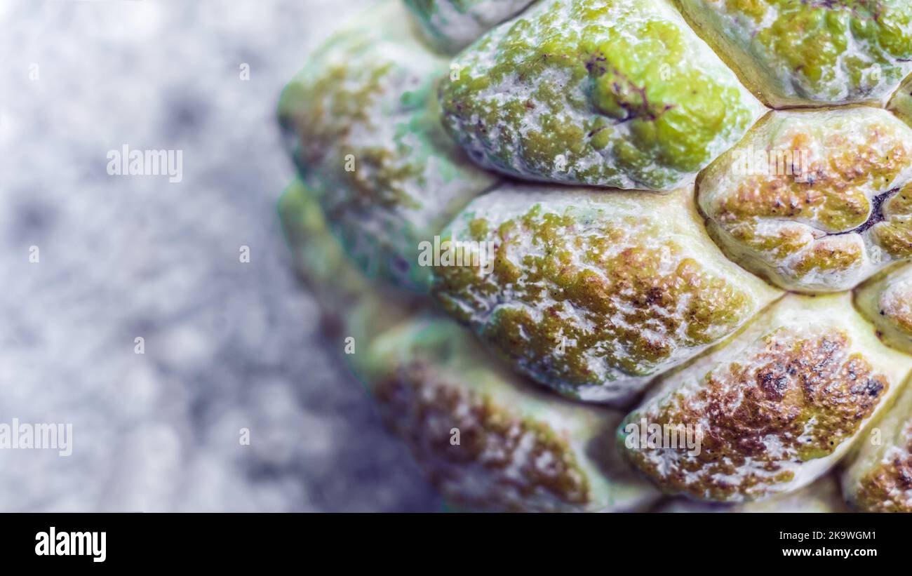 Abstract mystic background beauty nature wallpaper. Real photo close ...