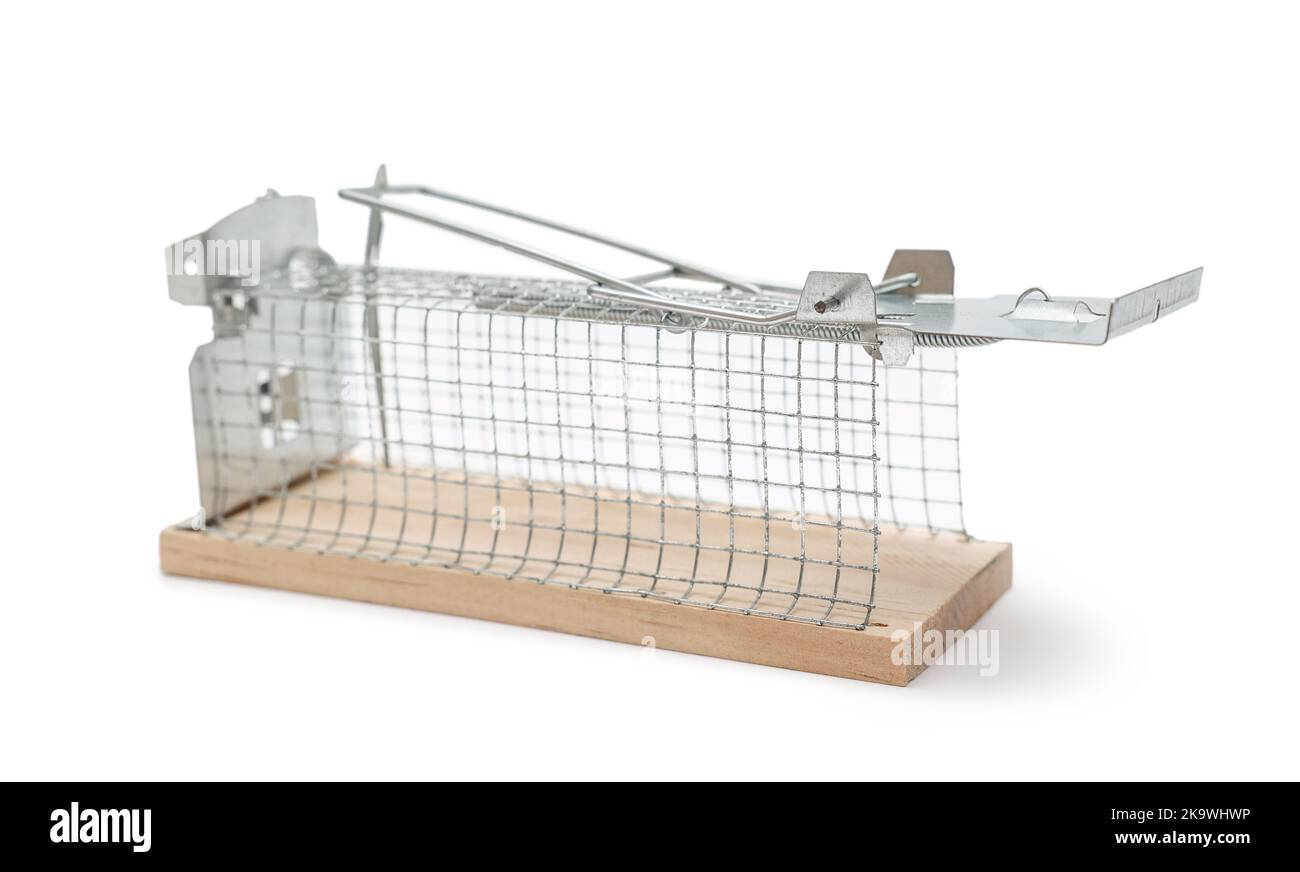 Empty mousetrap hi-res stock photography and images - Alamy