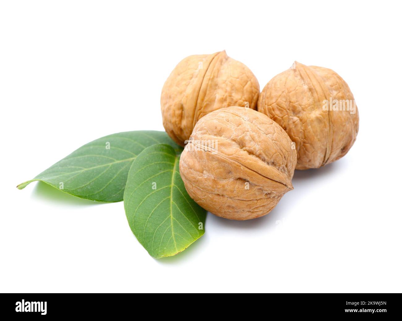 Fresh walnuts isolated on white background Stock Photo - Alamy