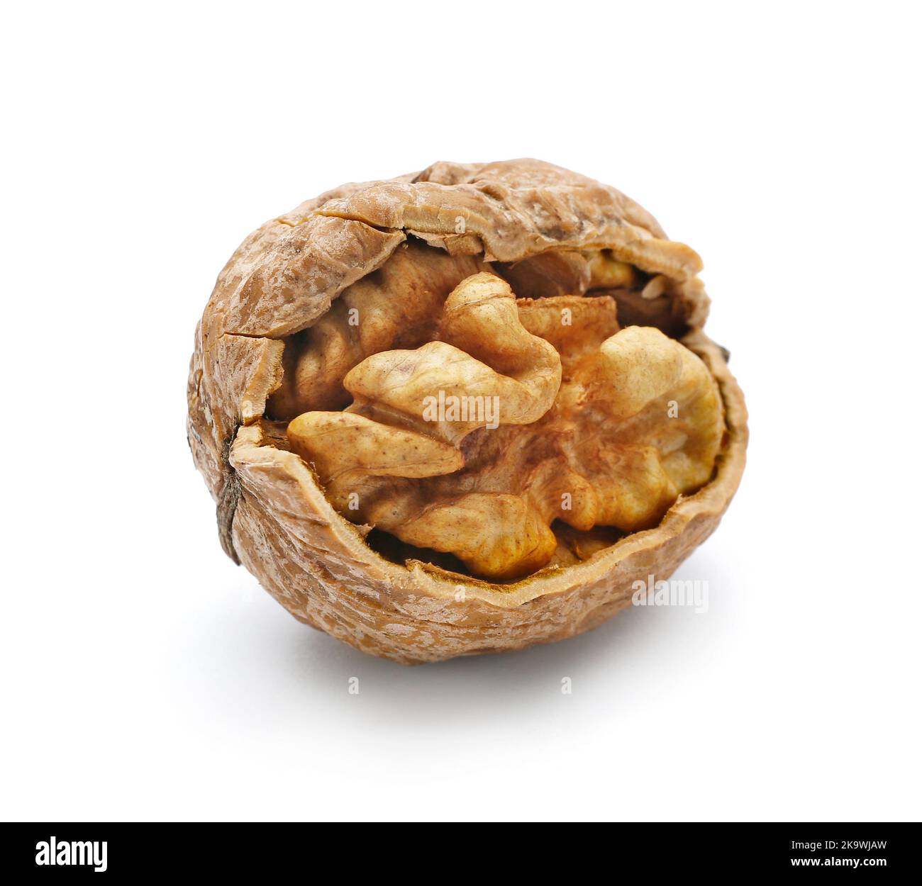 Fresh tasty walnut isolated on white background Stock Photo - Alamy