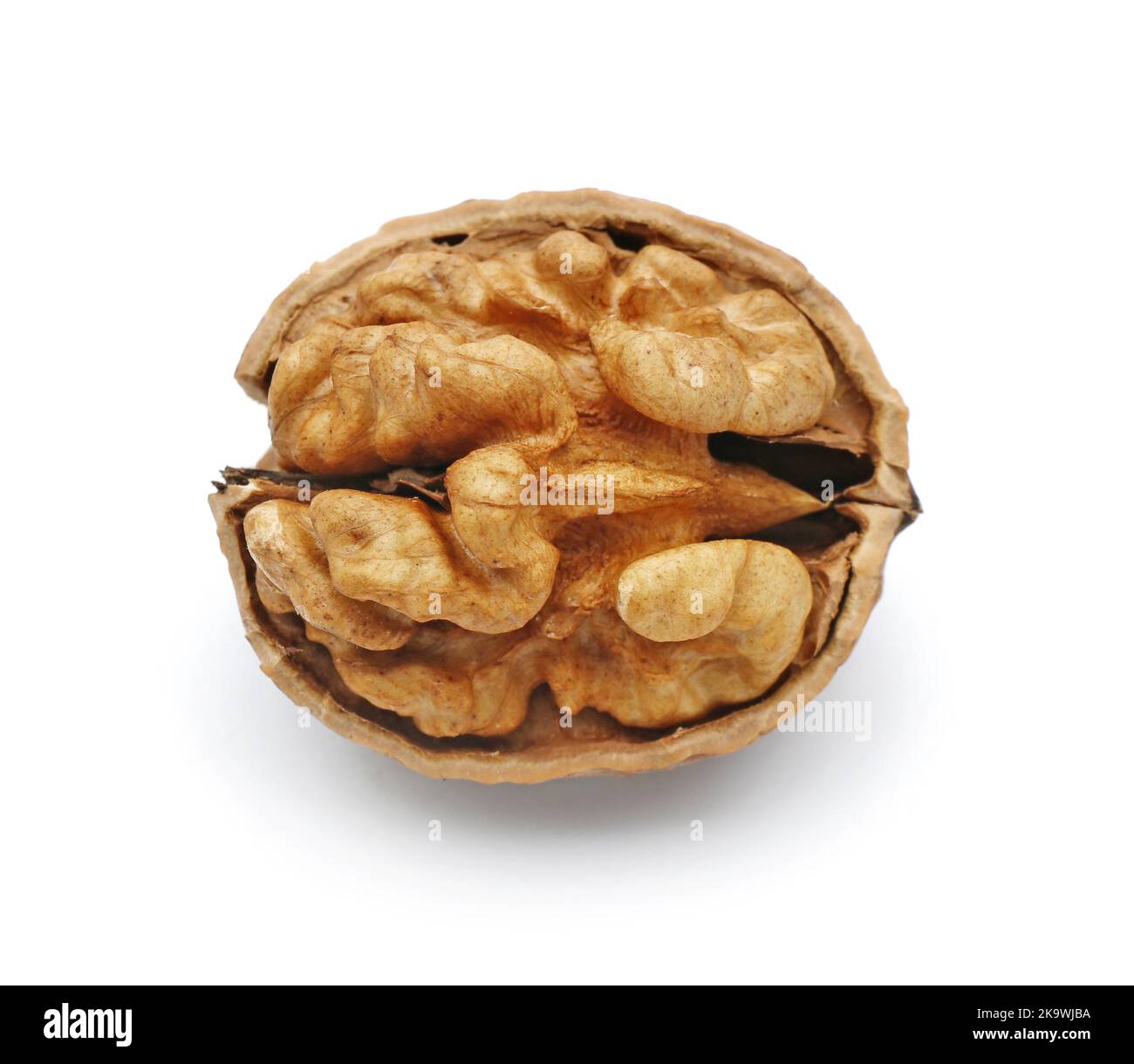 Fresh tasty walnut isolated on white background Stock Photo - Alamy