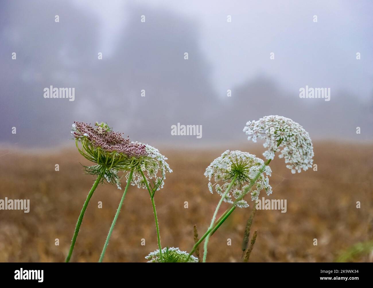 Stadtrand hi-res stock photography and images - Alamy