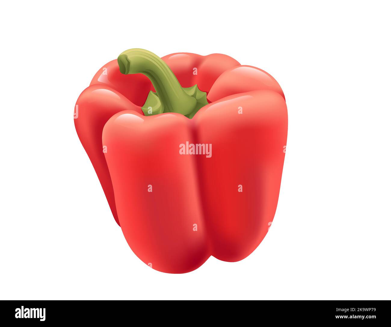 Red whole bell pepper healthy fresh vegetable vector illustration ...