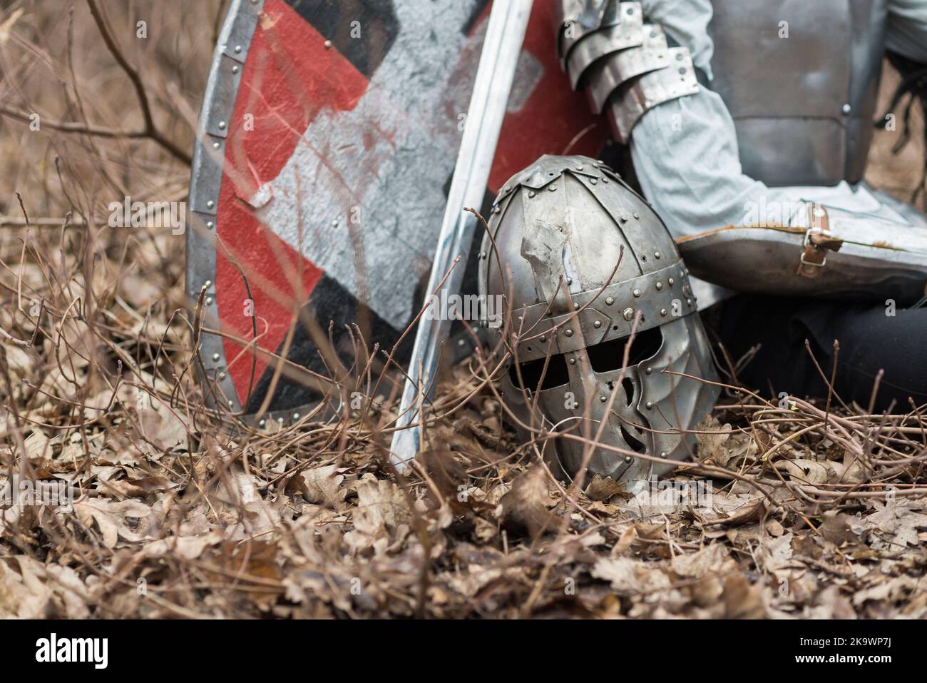 Shield warrior hi-res stock photography and images - Alamy