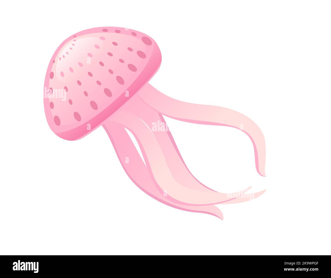 Jellyfish medusa underwater animal pink color vector illustration isolated on white background ...