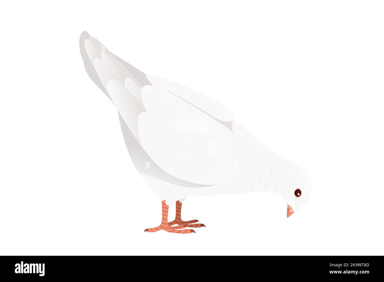 White pigeon dove bird symbol of peace vector illustration cartoon ...