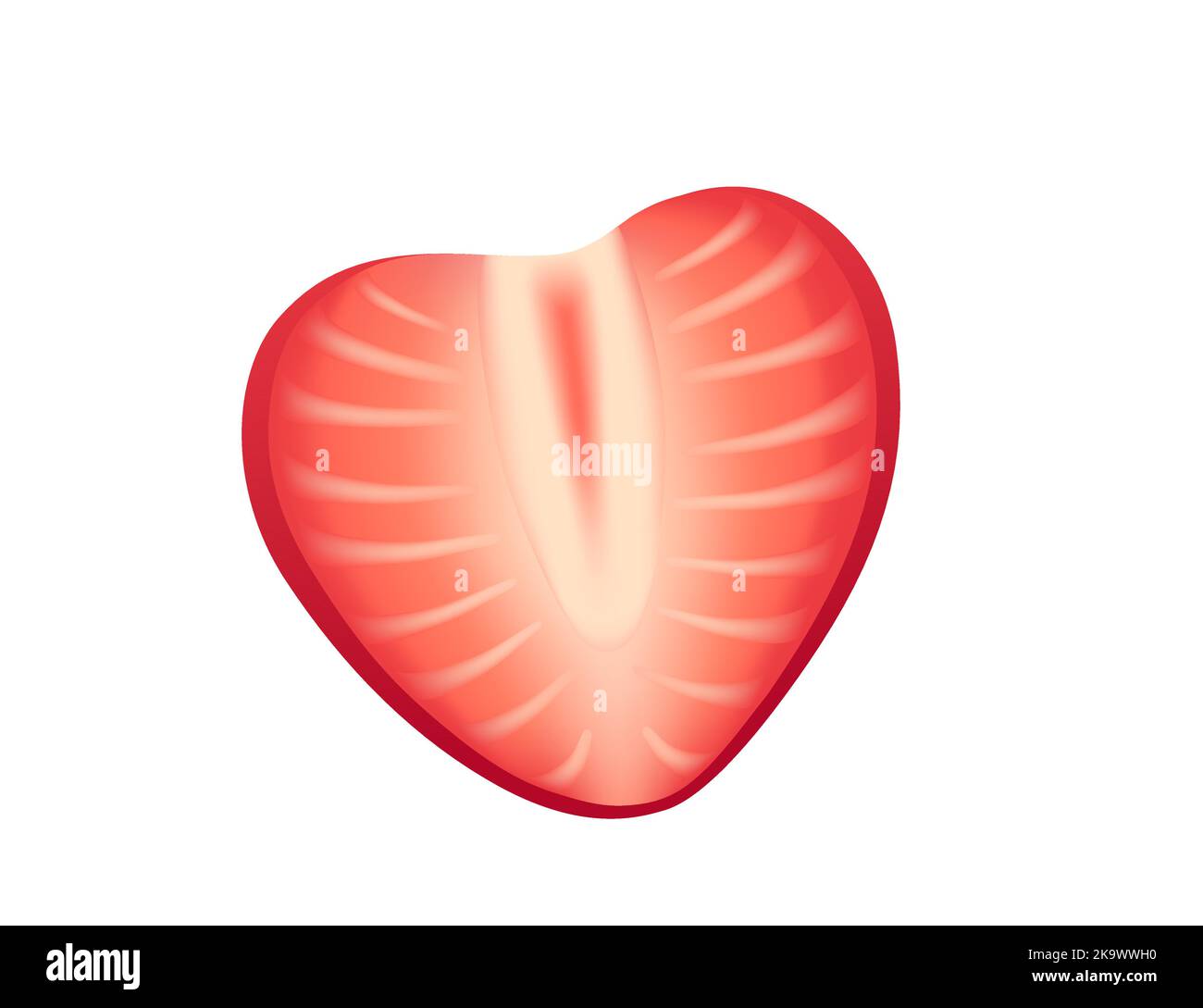 Red natural fresh slice of strawberry sweet tasty berry vector ...