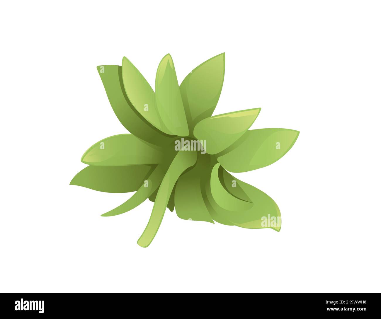 Green strawberry leaf vector illustration isolated on white background ...