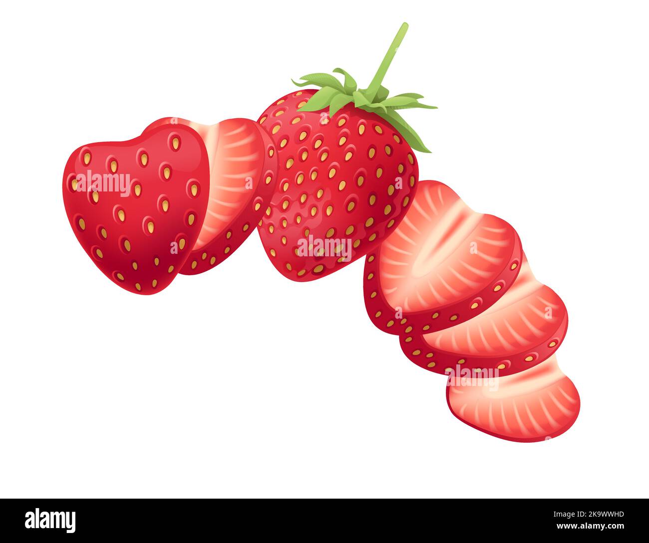 Red natural fresh slice of strawberry sweet tasty berry vector ...