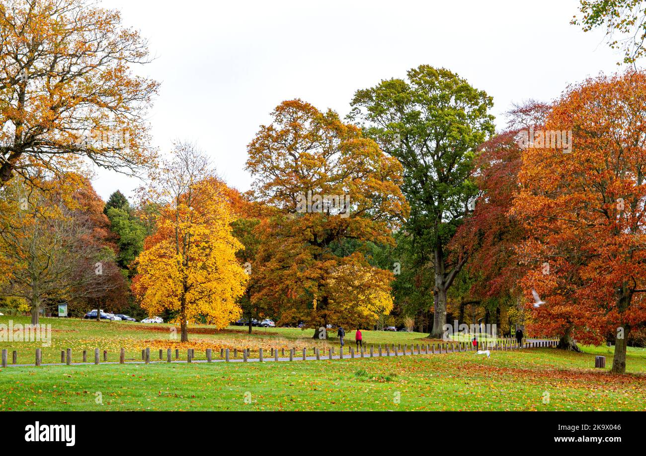 Autumn scenery in dundee hi-res stock photography and images - Alamy