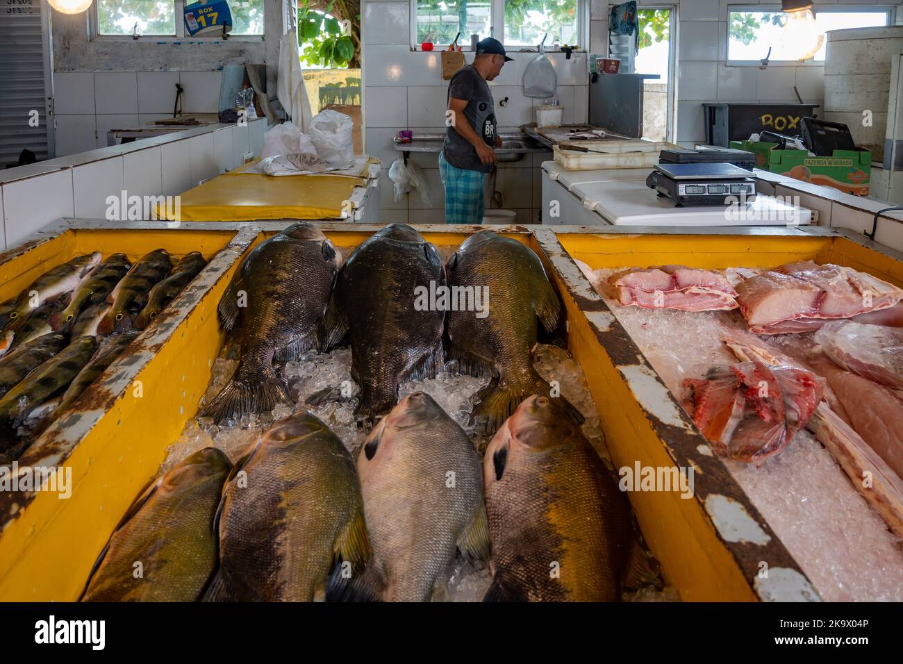 A man selling varieties of fresh water fish from the Amazon river at ...