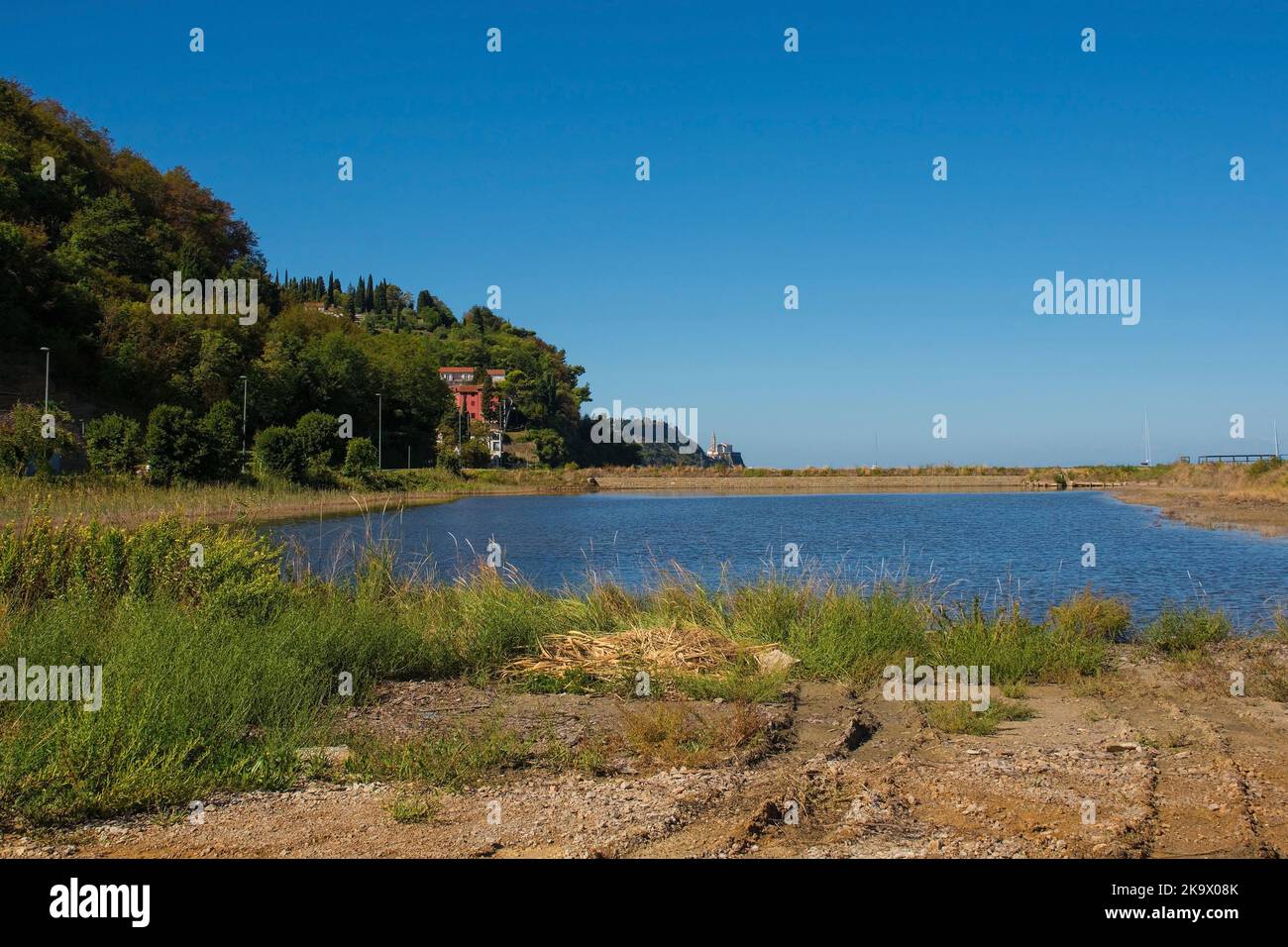 Strunjan protected marine park on the coast of Slovenia in the Gulf of ...