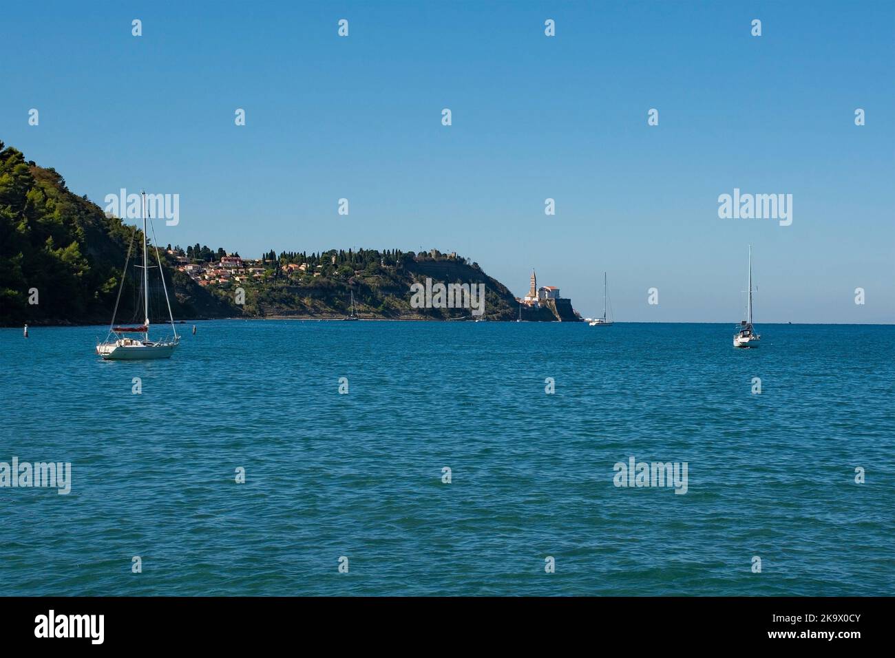 Strunjan protected marine park on the coast of Slovenia in the Gulf of ...