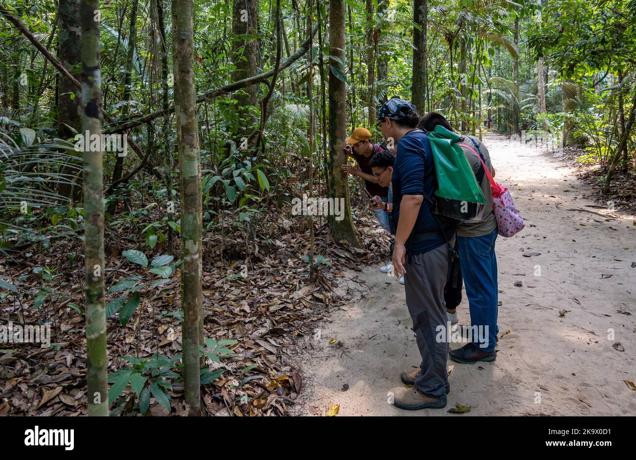 A naturalist leads a group of students on a nature tour through Amazon ...