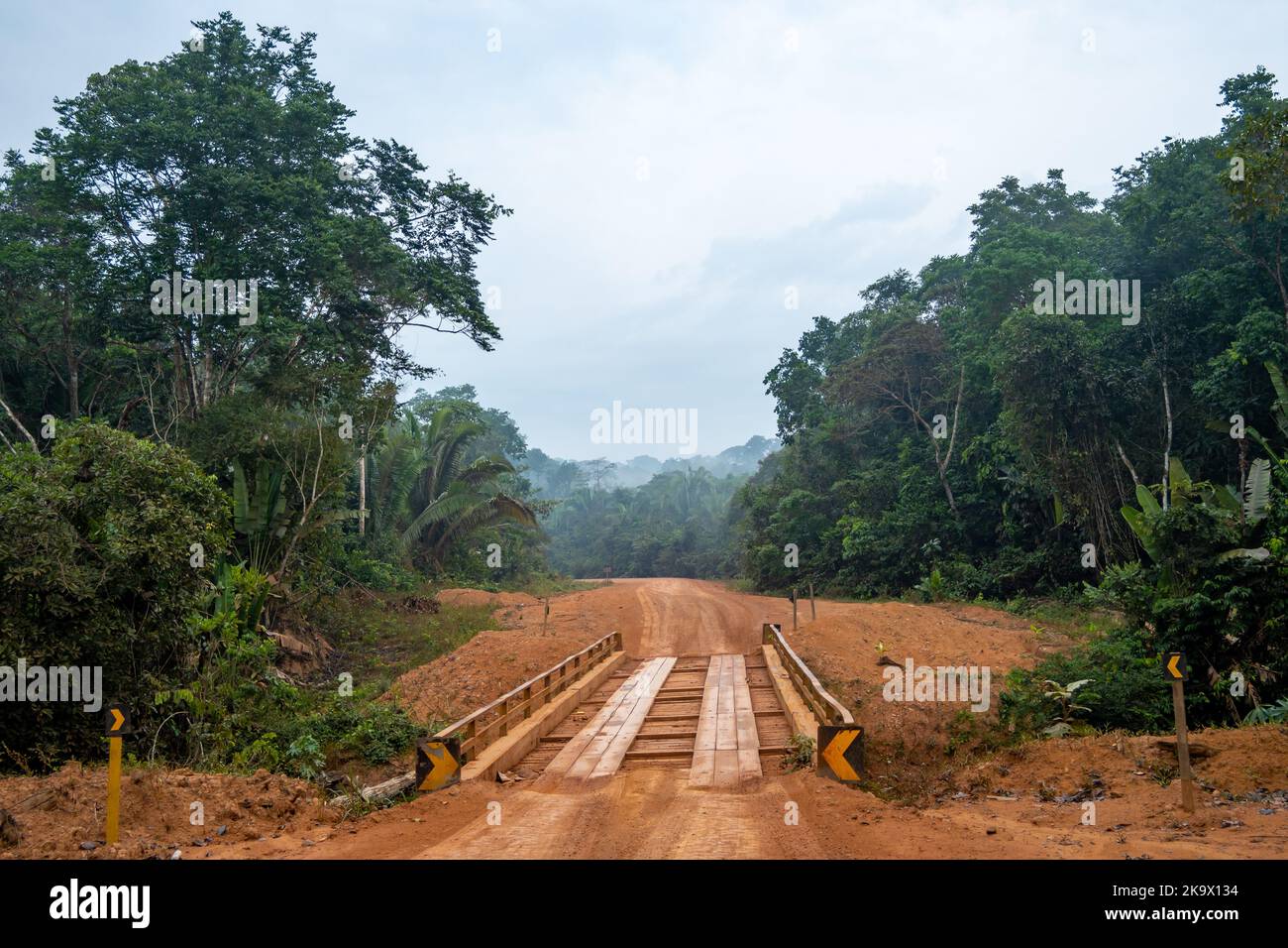 Dirt road cuts through tropical forest in the Amazonia National Park ...