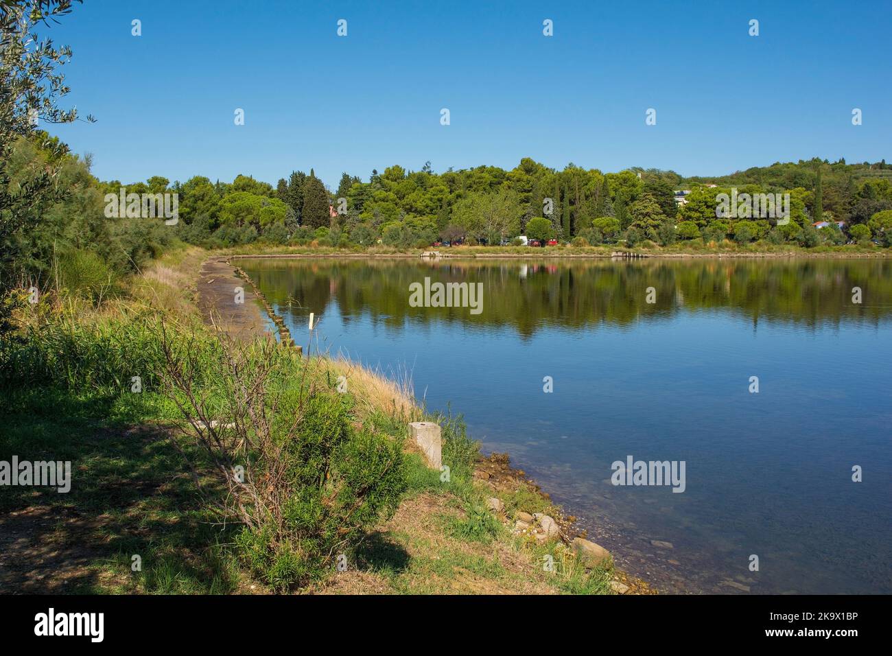 Strunjan protected marine park on the coast of Slovenia in the Gulf of ...