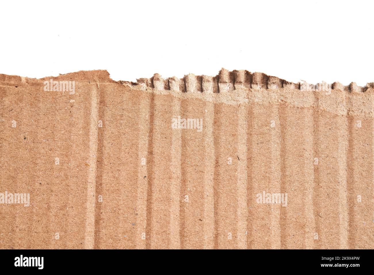 One ripped piece of cardboard material over isolated white background ...