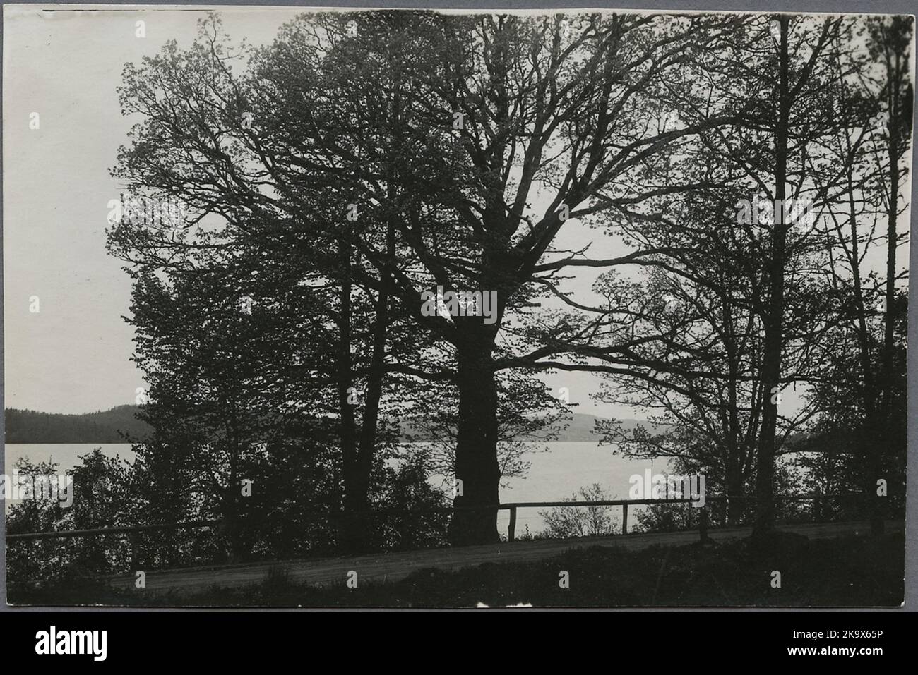 View of Lake Åsunden Stock Photo - Alamy