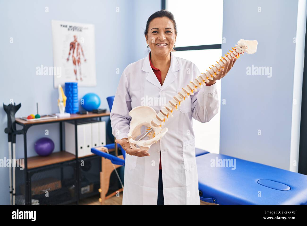 Middle age hispanic woman holding anatomical model of spinal column ...