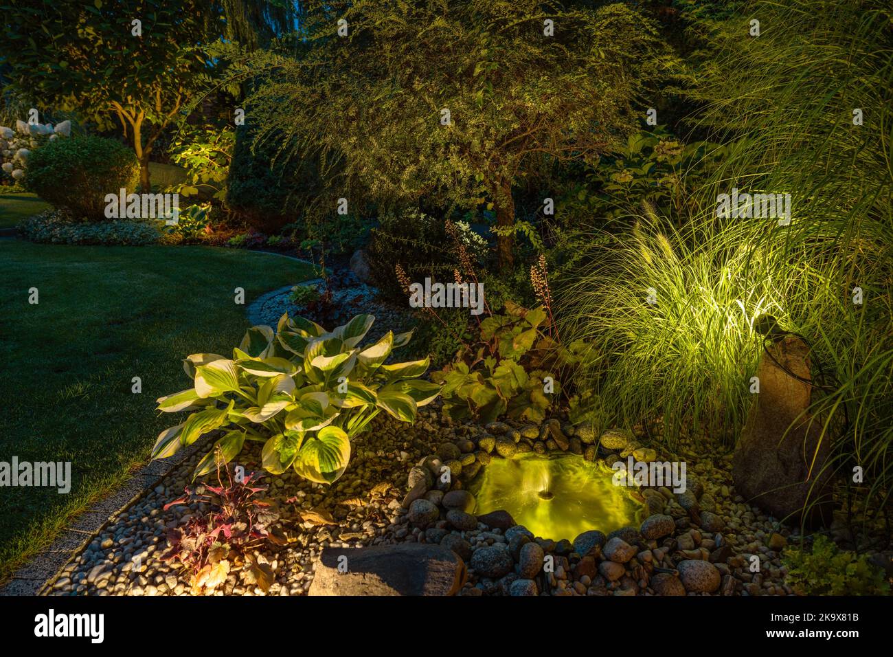 Back illumination hi-res stock photography and images - Alamy