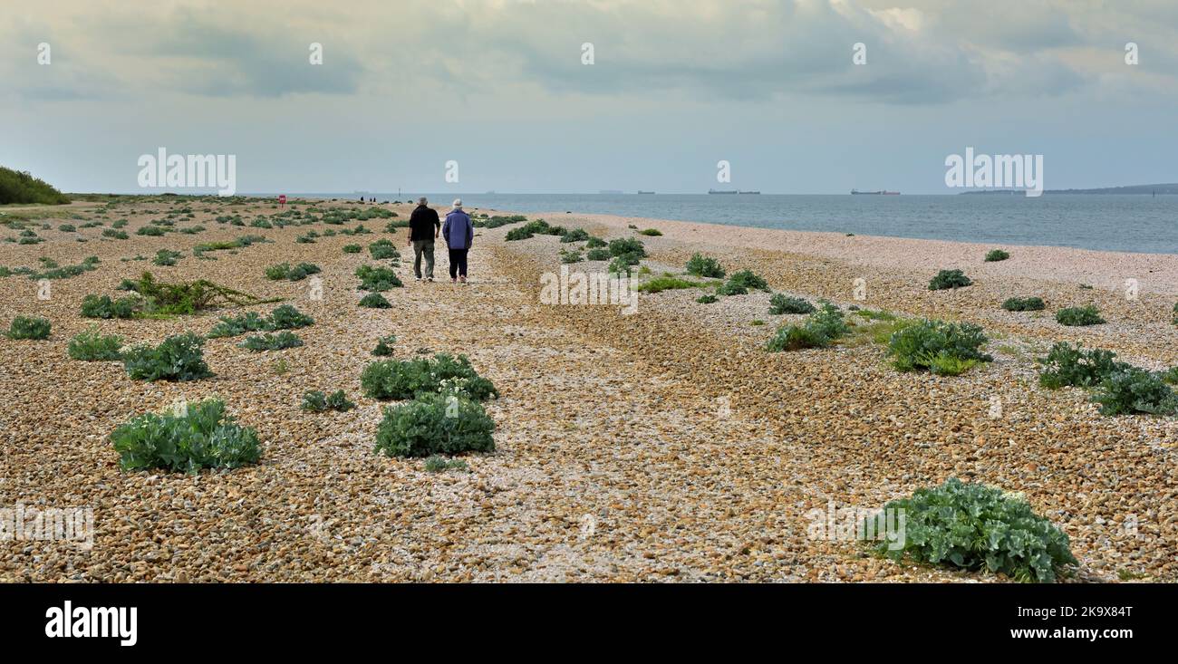 The entrance to Langstone harbour, Hayling Island, looking across the ...