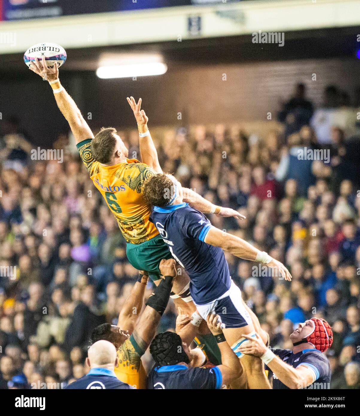 Scotland October 29th : Jed Holloway of Australia wins the lineout ...
