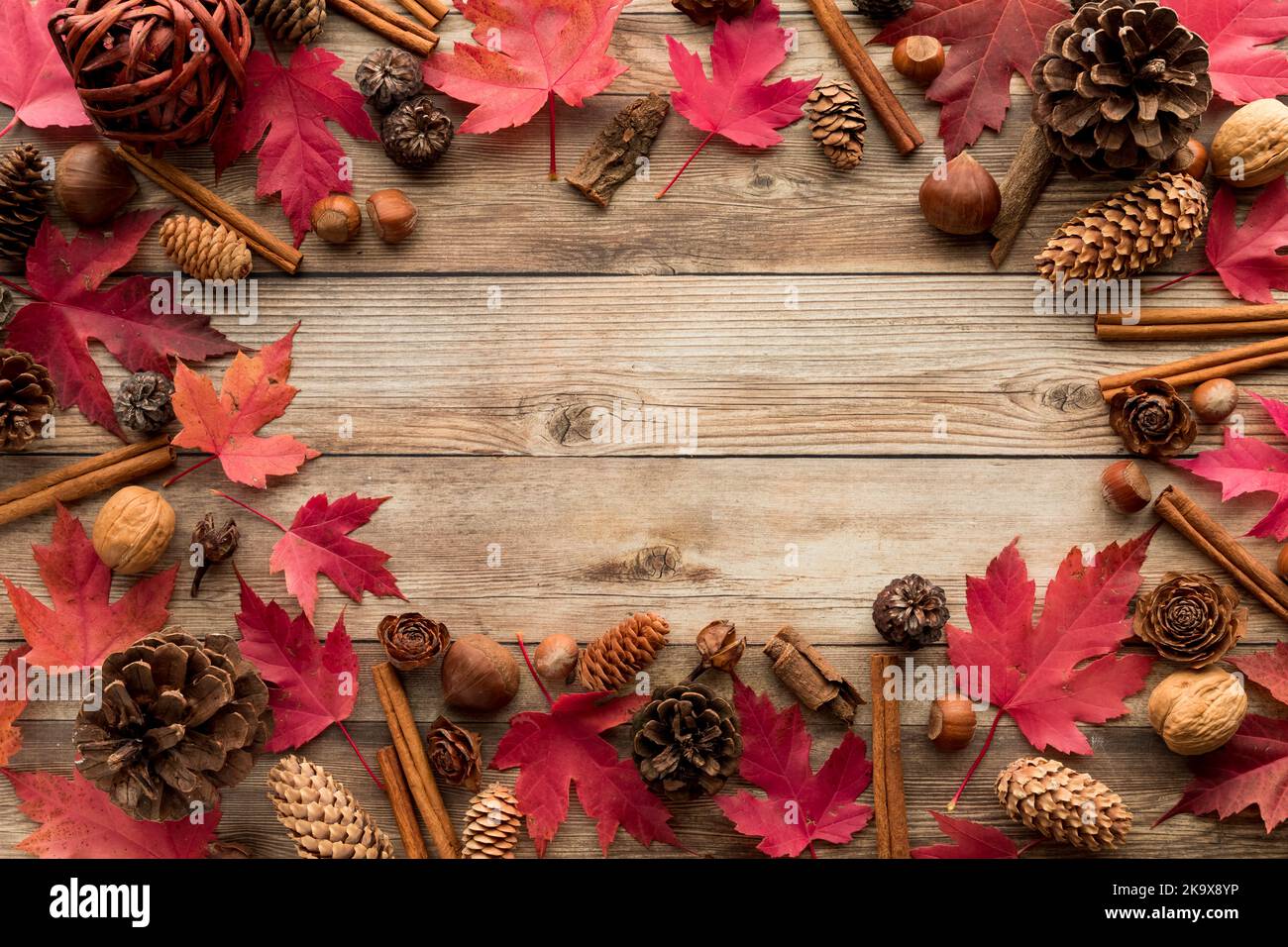 A border filled with natural autumn foliage including leaves and ...