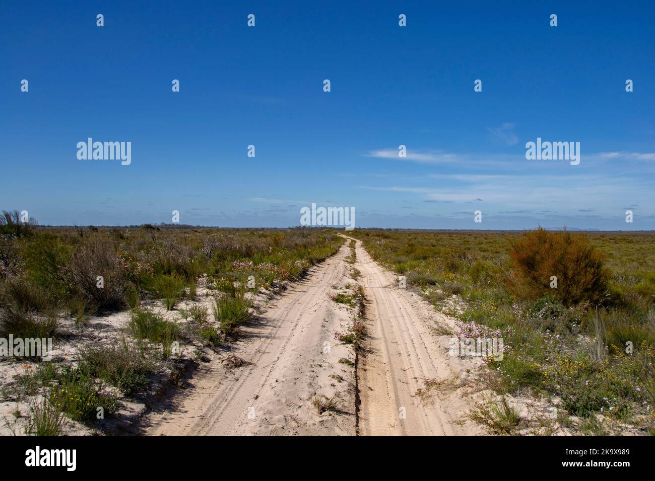 Little Desert National Park Victoria Australia landscape outback track ...