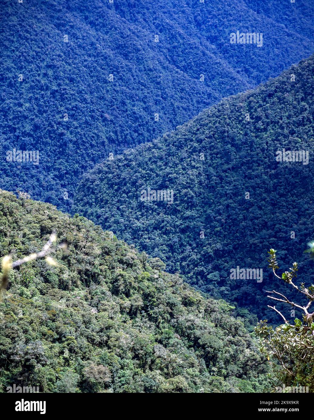 The Yungas, Bolivia, Coroico valley,Death road Stock Photo - Alamy