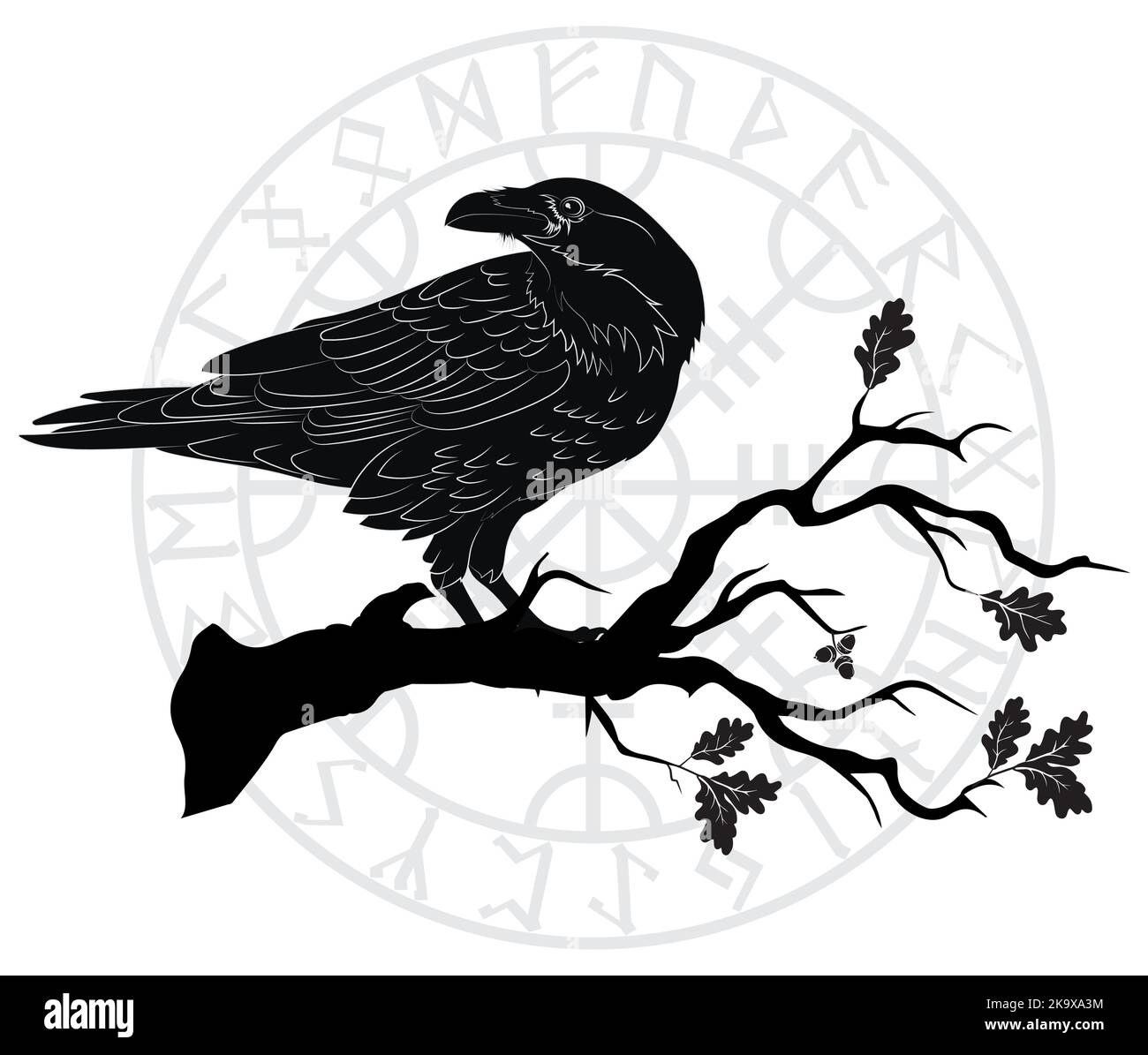 Black crow sitting on a branch of an oak tree, and Scandinavian runes ...