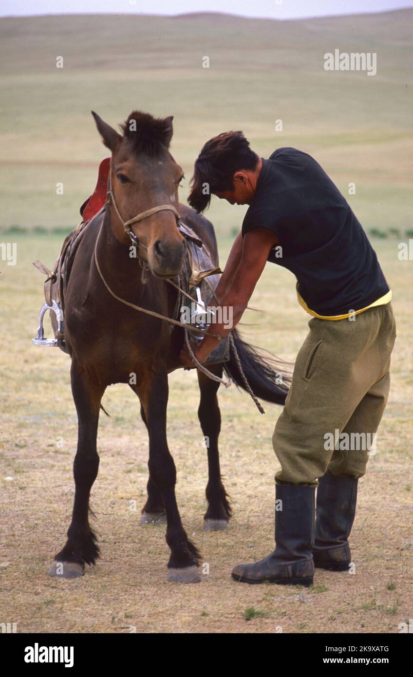 Mongolian horse rider hi-res stock photography and images - Alamy