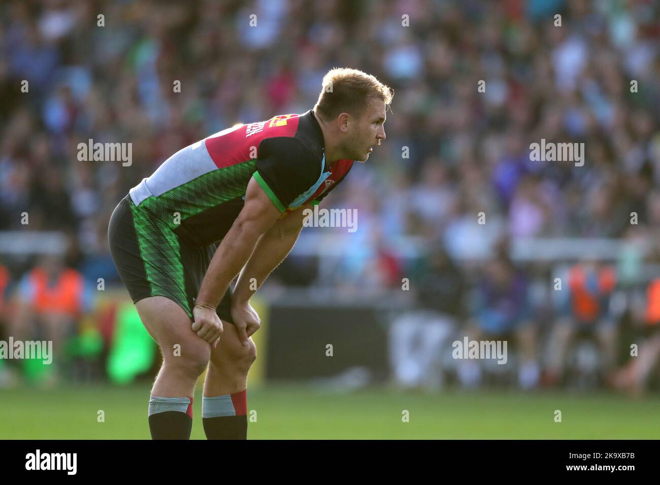 Andre esterhuizen hi-res stock photography and images - Alamy