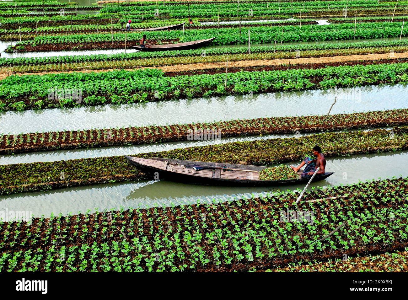Farmers row boats hi-res stock photography and images - Alamy