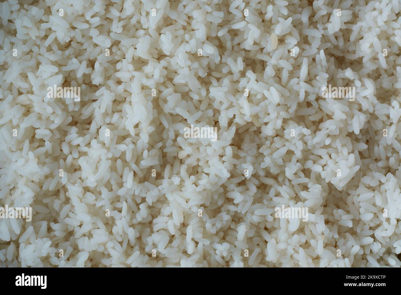 cooked or boiled white brown rice, full frame background, closeup view ...