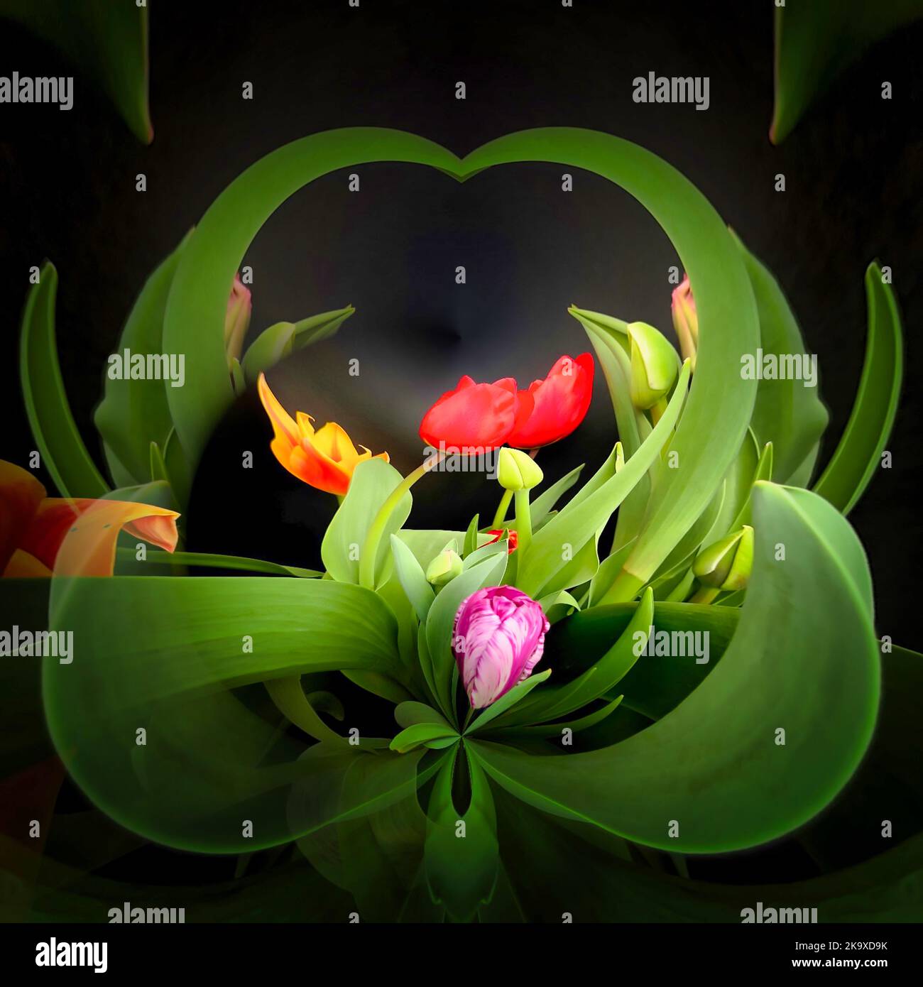 TP Spring Flowers Stock Photo - Alamy