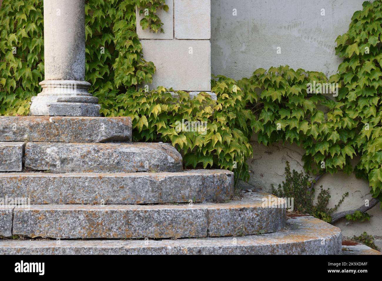 Neoclassical or Classical Column , Old Stone Steps & Peppervine ...