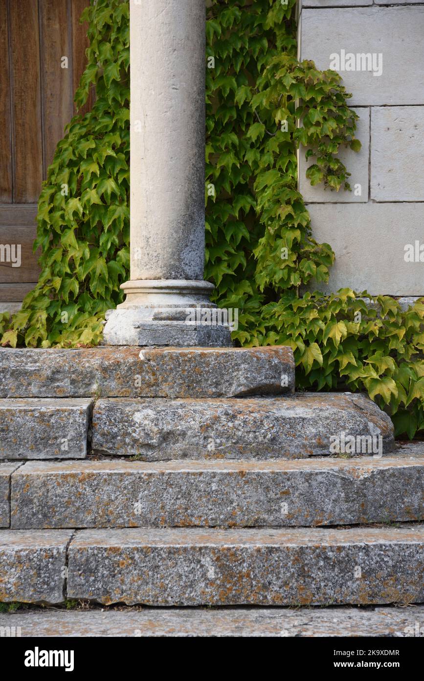 Neoclassical or Classical Column , Old Stone Steps & Peppervine ...