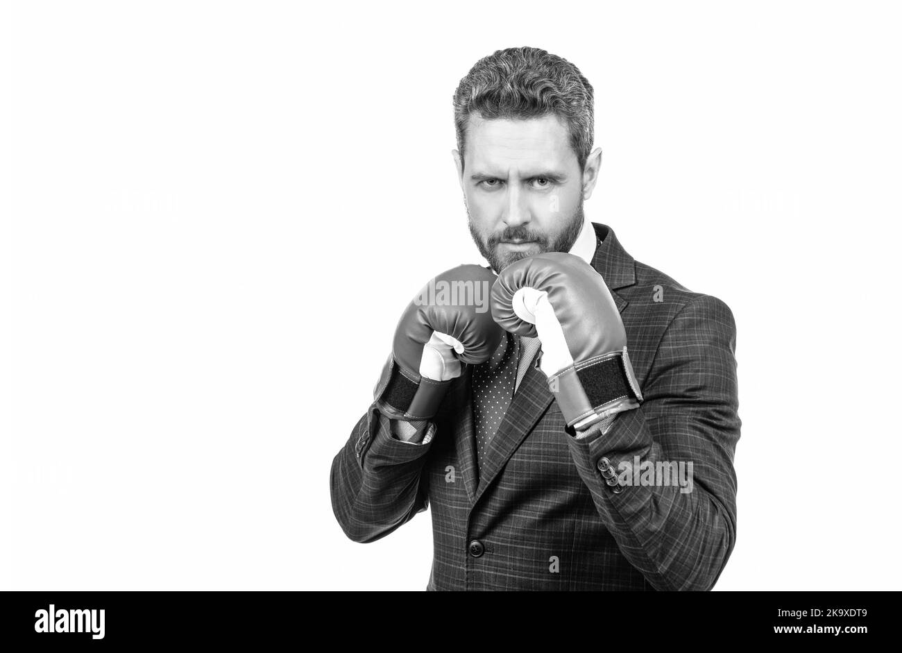 Keep fighting. Boss wear boxing gloves. Standing in fighting position ...