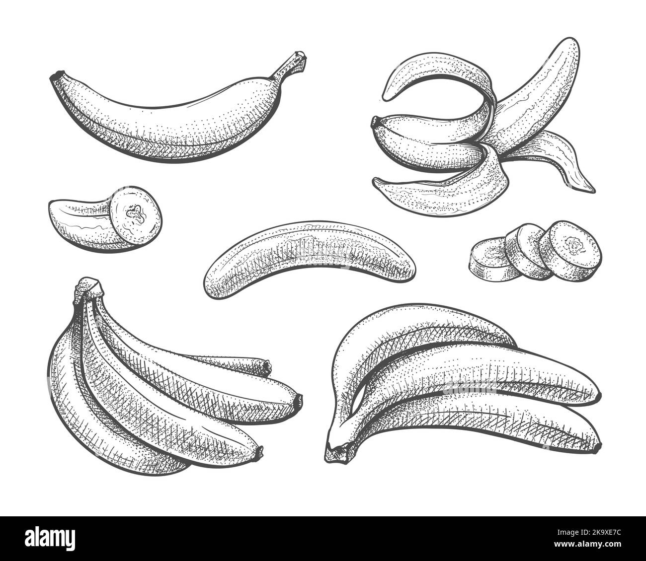 Bananas vintage sketch Stock Vector Image & Art - Alamy