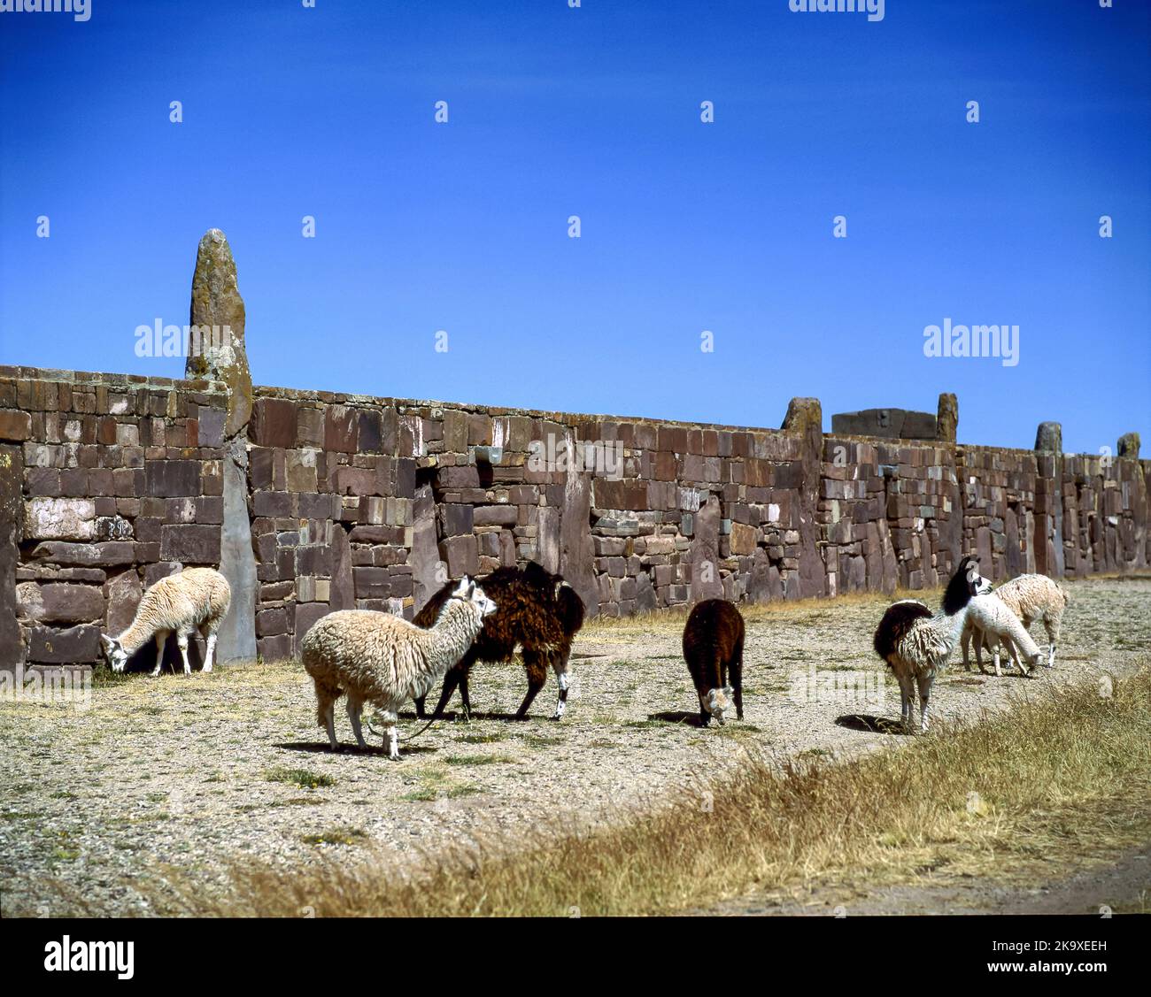 Archaeological center of Tiwanaku (400BC-1100AC). La Paz, Bolivia Stock ...