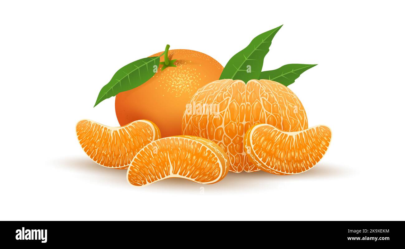 Realistic tangerine fruit Stock Vector Image & Art - Alamy