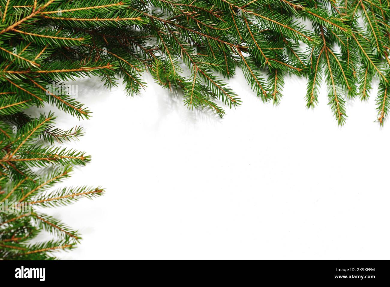 Christmas tree fir frame isolated on white background Stock Photo - Alamy
