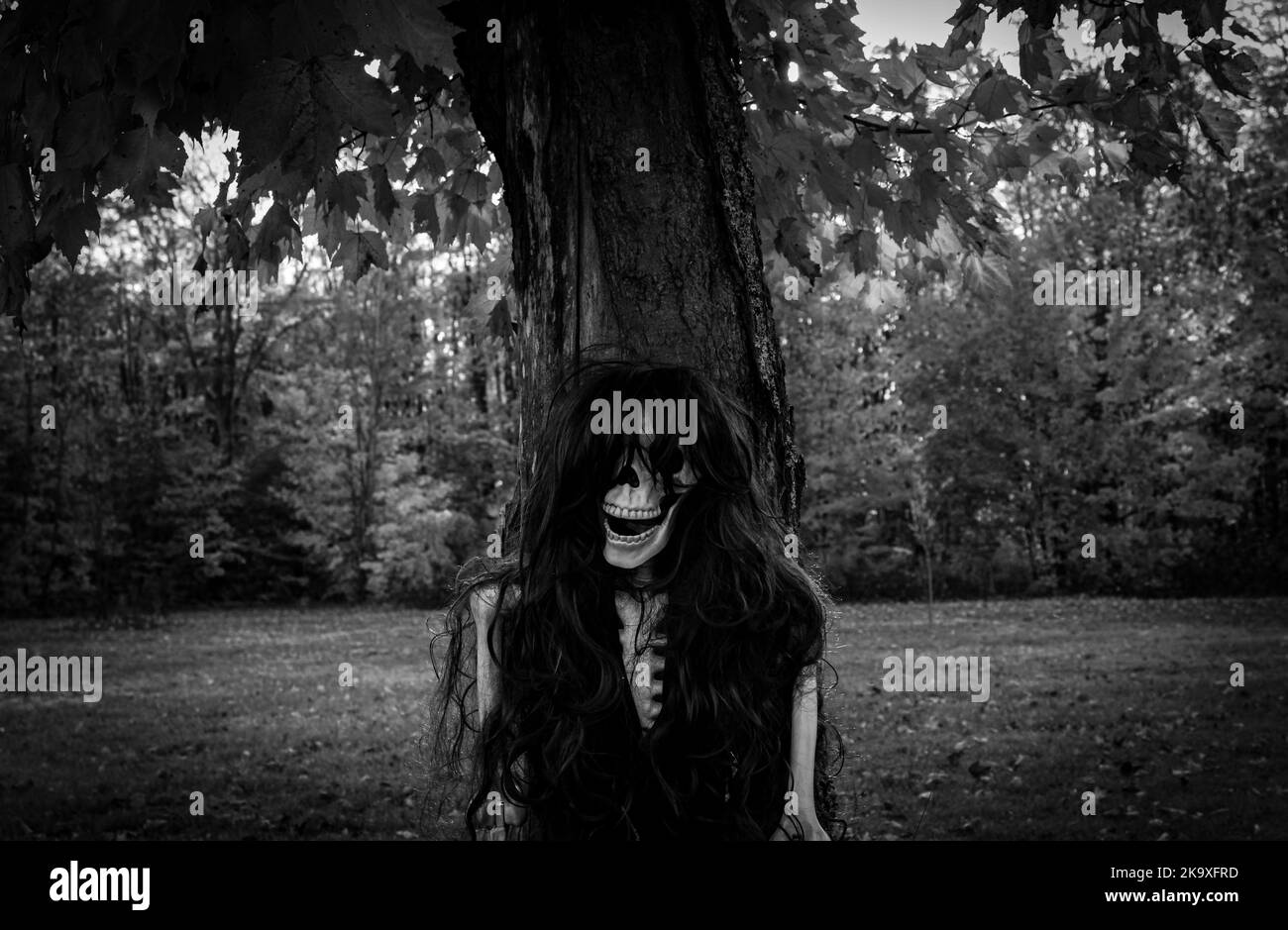 Black and white photo of a skeleton with a long hair wig on sitting ...