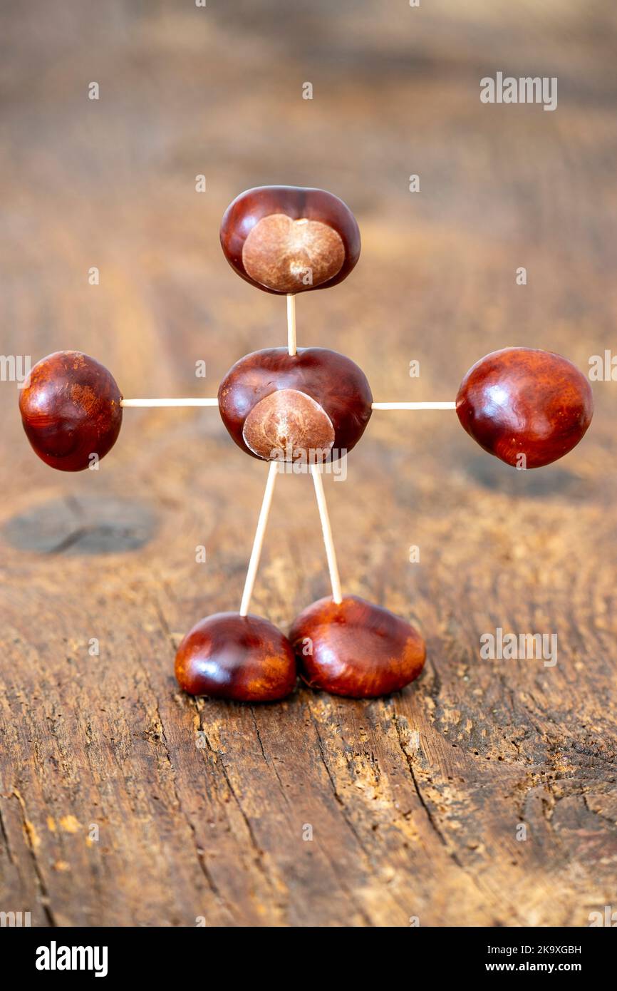 chestnut man on dark wood Stock Photo - Alamy