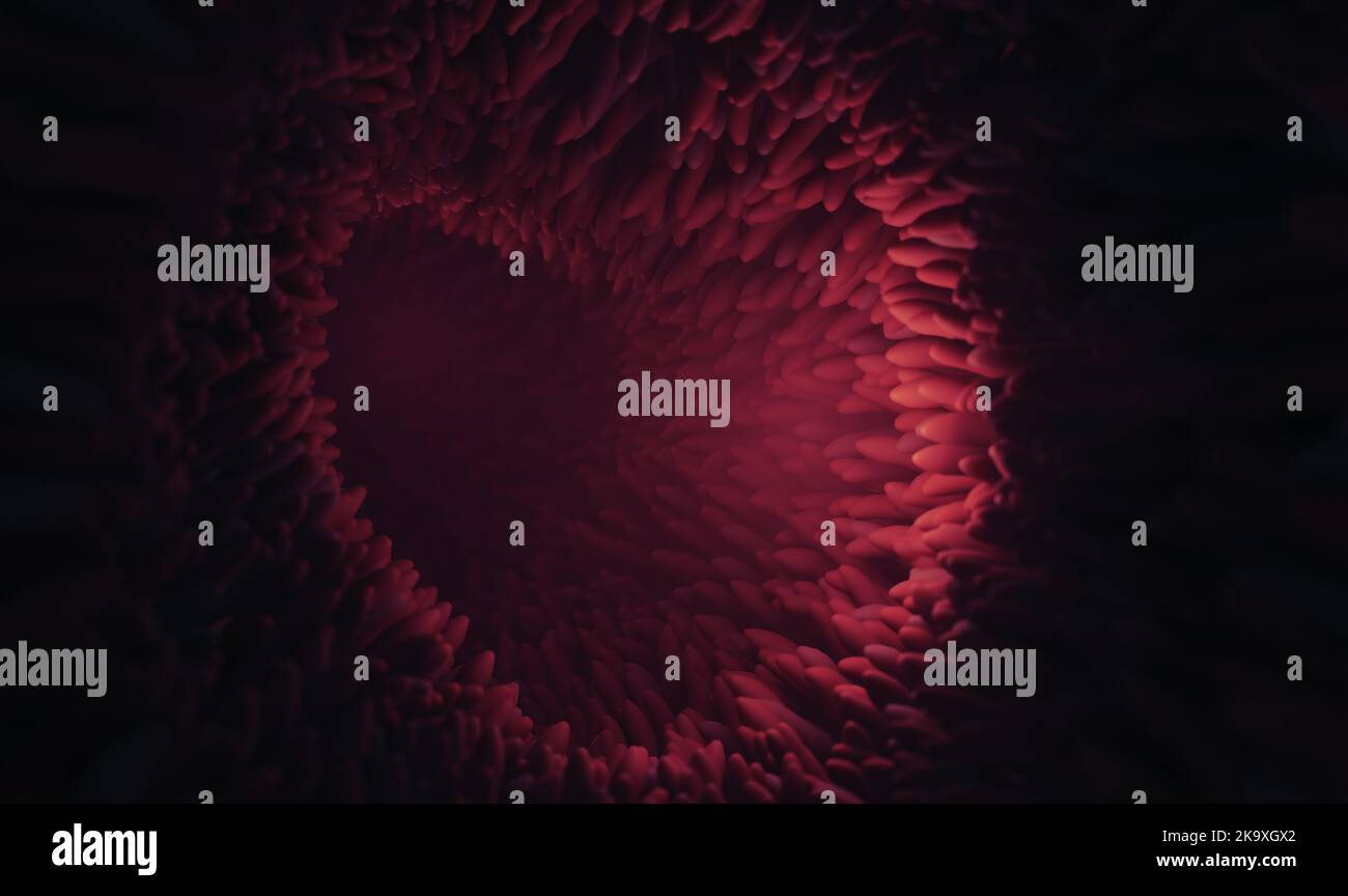 Microvilli on surface of digestive system or intestinal tract. 3D ...