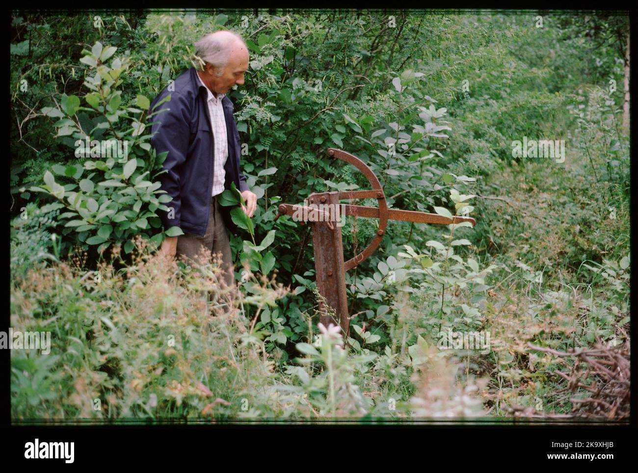 Remains of signal hosts at the track to Strömsdal's cabin Svj.Sävsnäs ...
