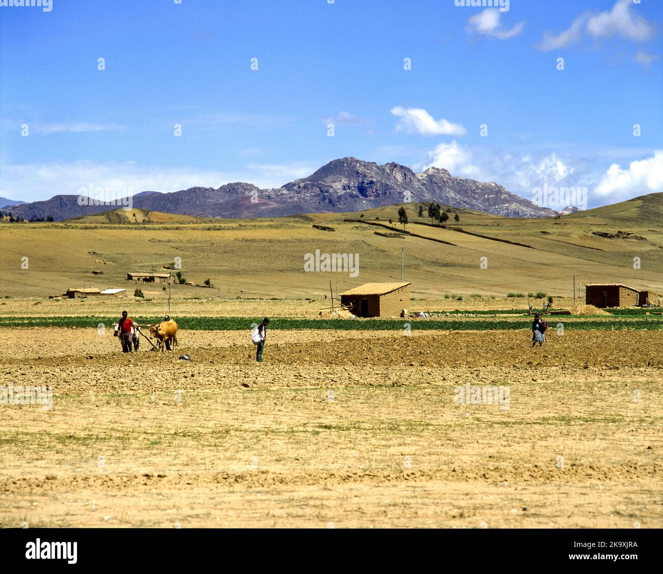 Andean highlands in the department of Potosí,Bolivia,indigenous ...