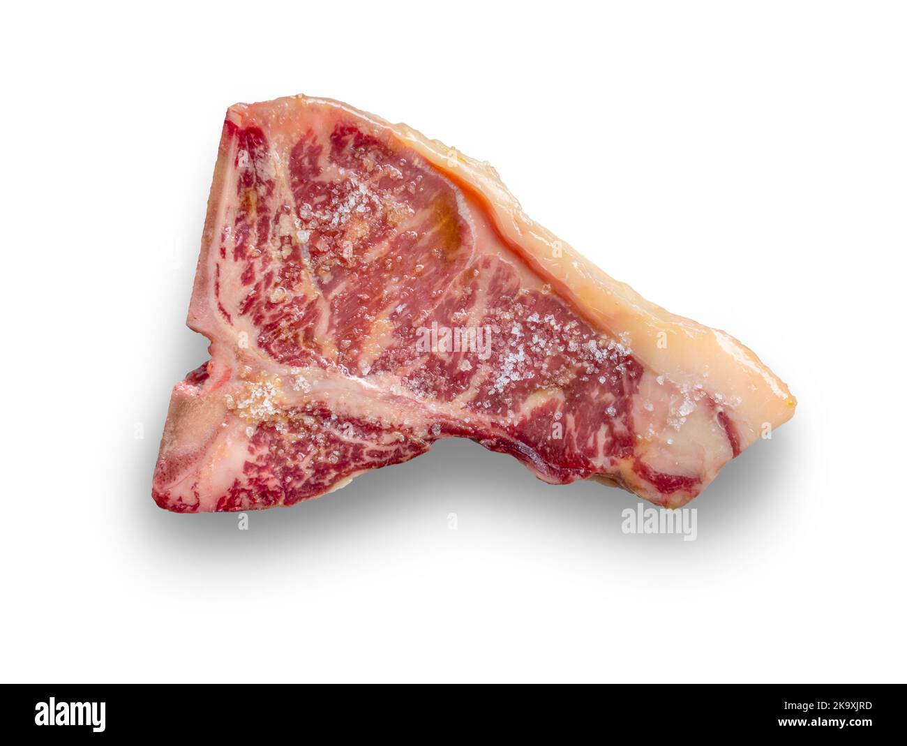 Cattle shadow Cut Out Stock Images & Pictures - Alamy